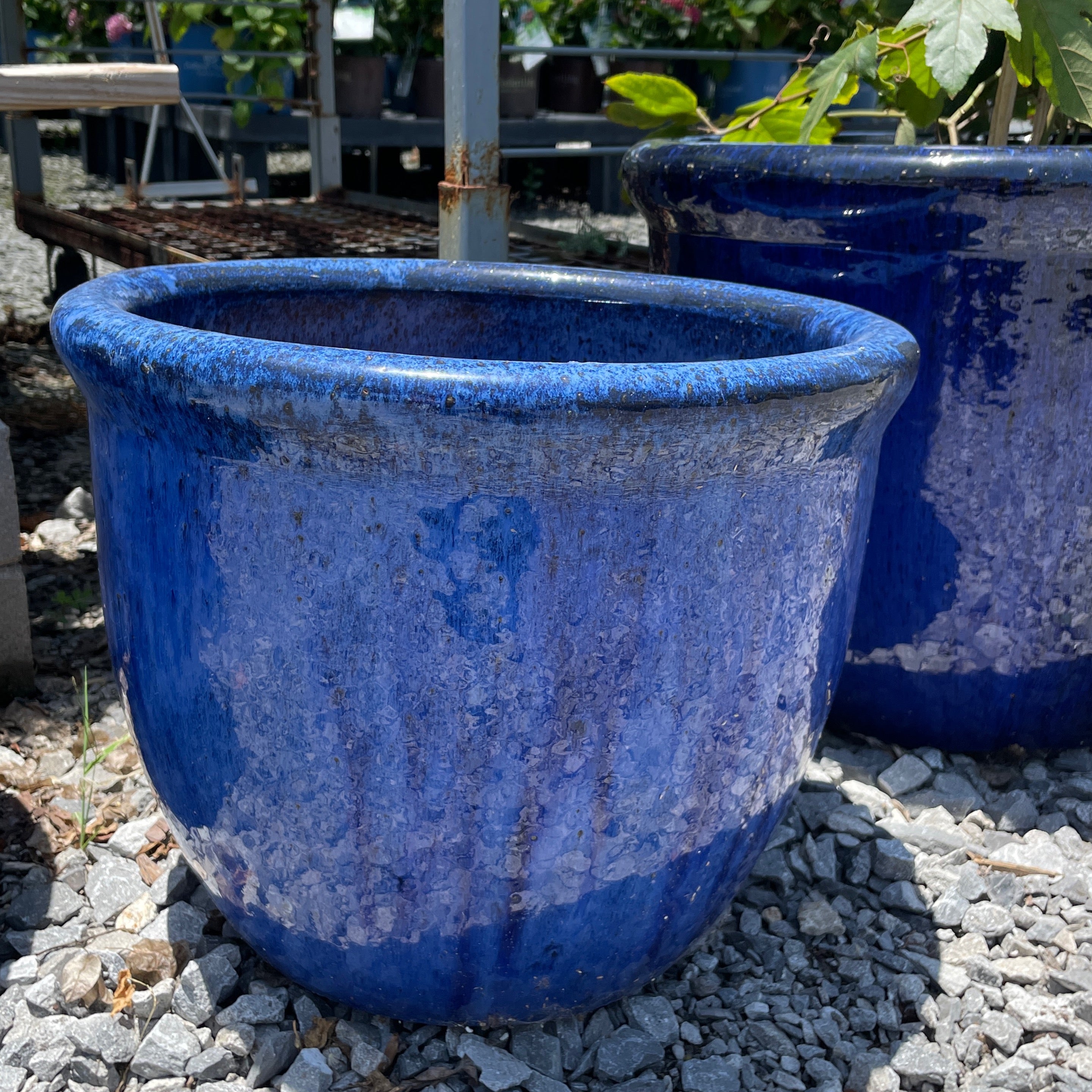 Medium Blue Roll Top Planter | Cane Row Nursery & Landscaping