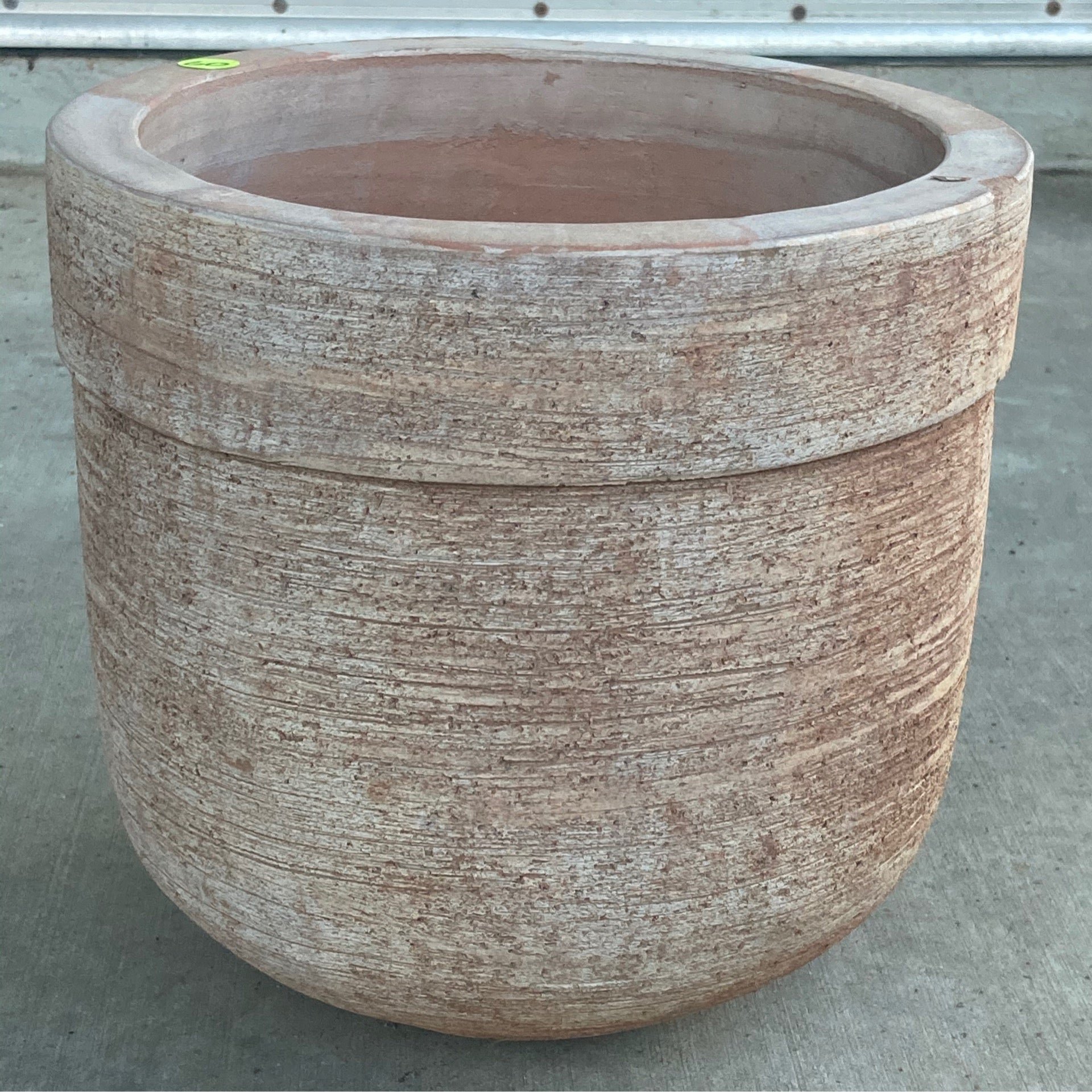 Medium Vietnamese Etched Rimmed Planter | Cane Row Nursery & Landscaping