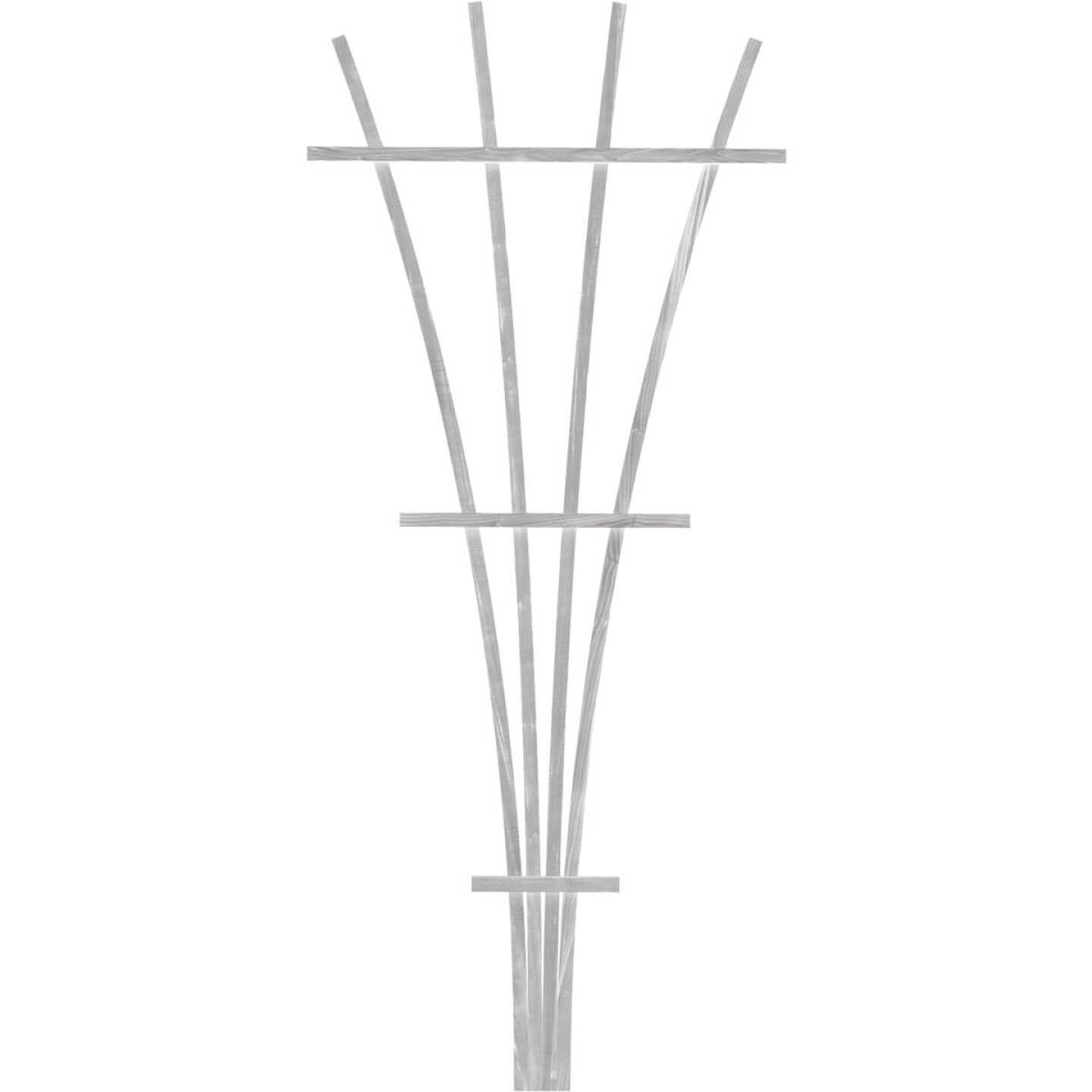 Pancea 48" Wood Fan Trellis | Cane Row Nursery & Landscaping