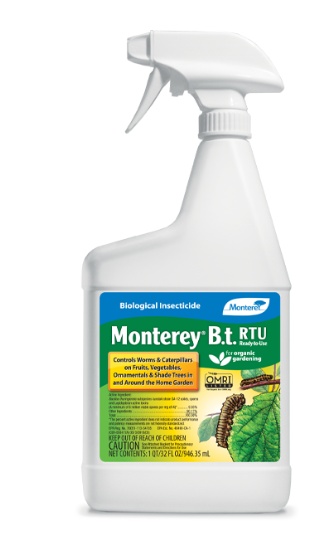 Monterey BT Insecticide (Bacillus thuringiensis) | Natural Caterpillar ...